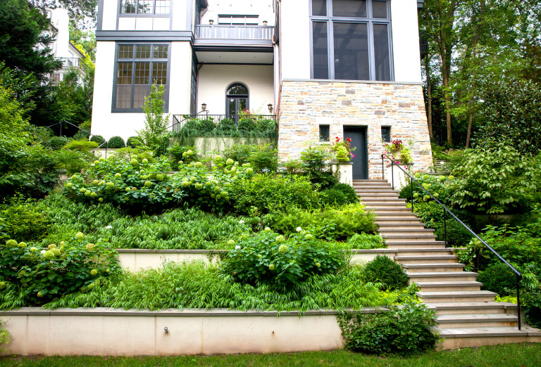 Forest Hills Terrace Garden - Jordan Honeyman