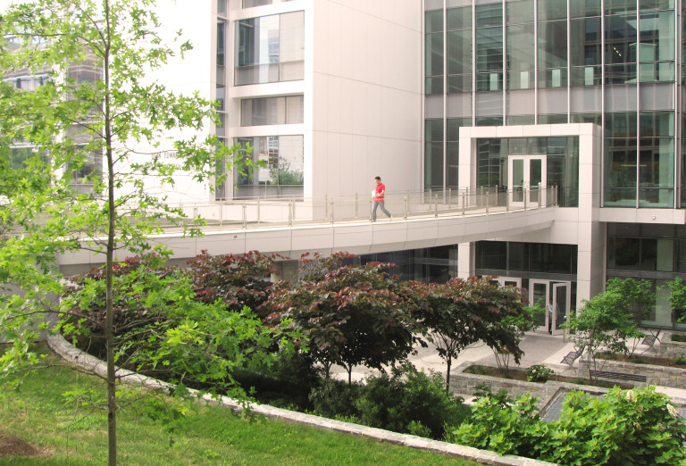 The Porter Neuroscience Research Center - Jordan Honeyman